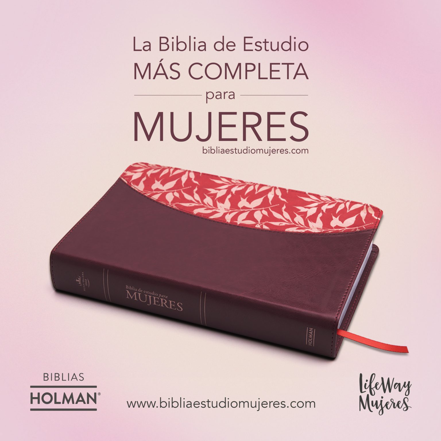 Biblia de Estudio para Mujeres - Lifeway Mujeres